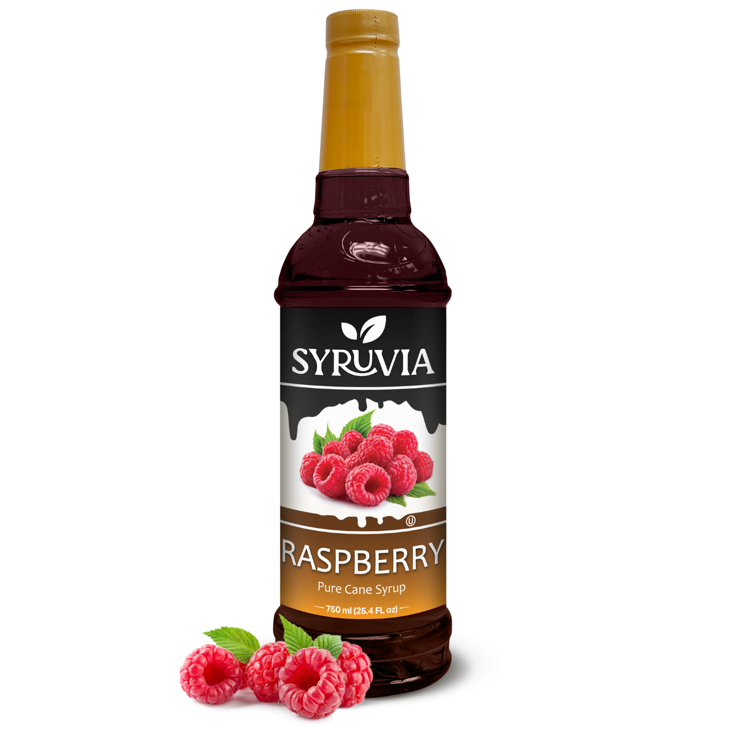Syruvia Raspberry Syrup for Drinks, Desserts & More – Only $6.99